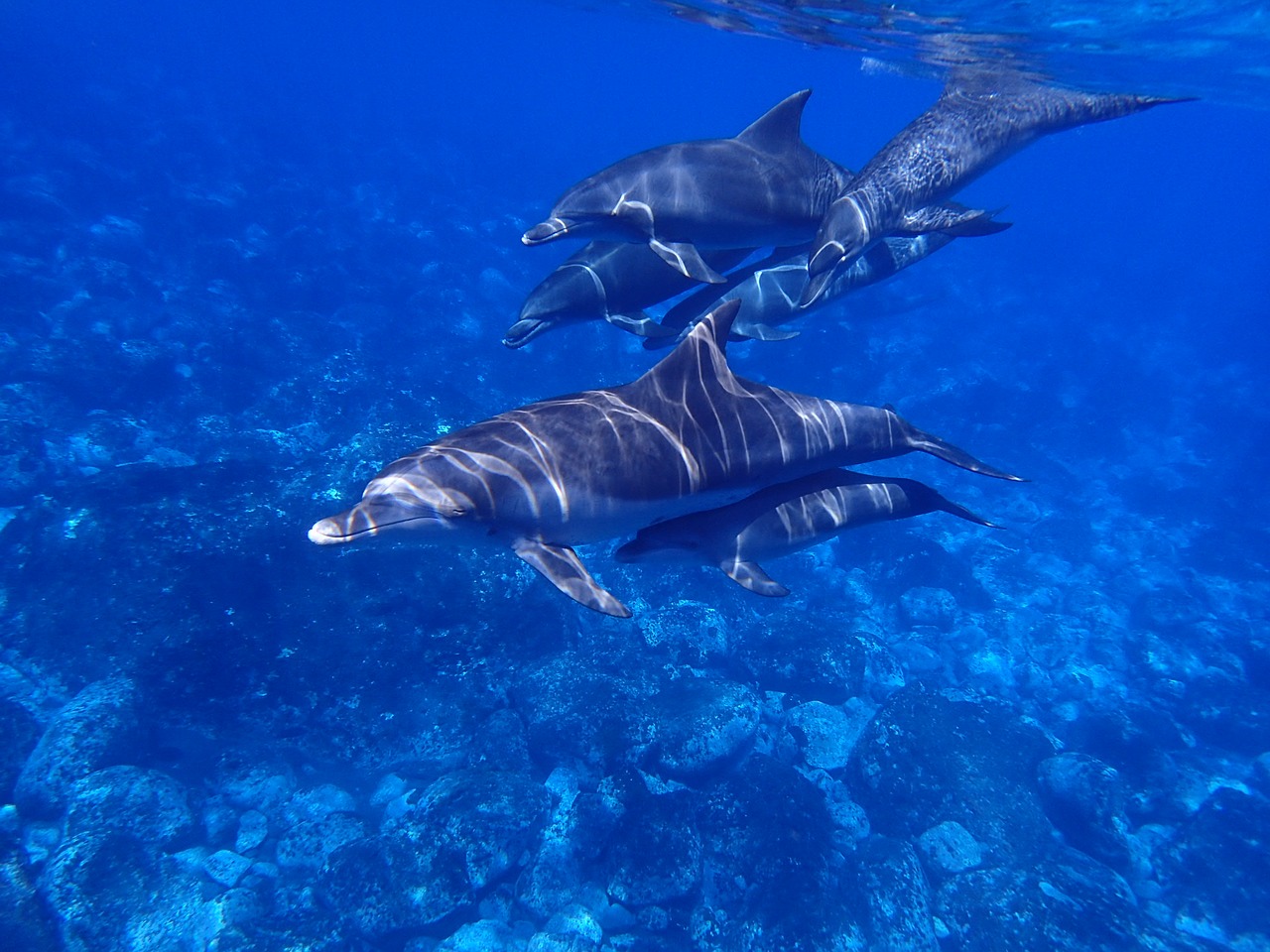 Swim in the sea...what are the benefits?